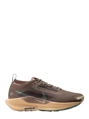 Nike Pegasus Trail Gore-tex - Brown