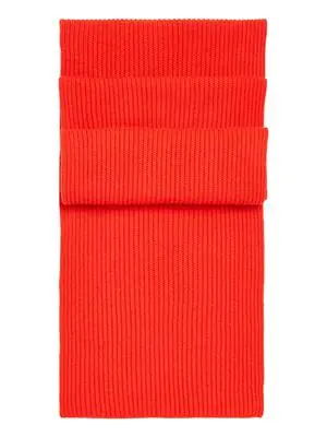 MAX & CO. Wool-Cashmere Rib Knit Scarf