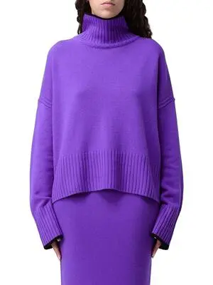 Pinko Pullover Sweater Violet