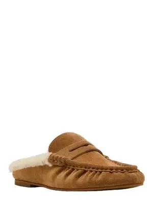 Steve Madden Rafe Faux Shearling Lined Mule - Tan Suede