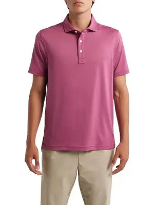 Brooks Brothers Solid Performance Series Polo Violet Quartz