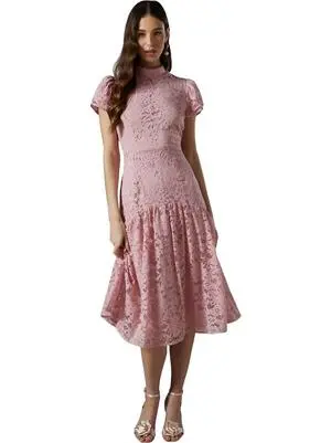 Coast Lace Frill Sleeve High Neck Midi Dress - Blush