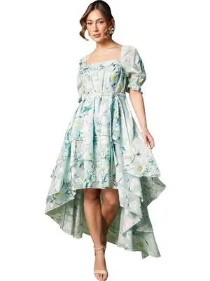 Coast Printed Chiffon Midi Dress - Green