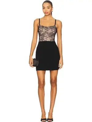 Alice + Olivia Carla Lace Corset Mini Dress - Black