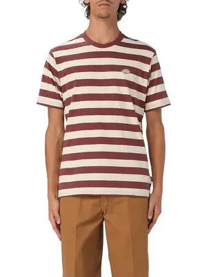Dickies T-shirt Men Brown