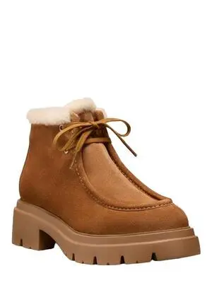 STUART WEITZMAN Hudson Genuine Shearling Lined Chukka Boot - Doe/vanilla