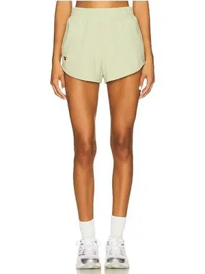 Aviator Nation Essential Club Short - Lime Cream