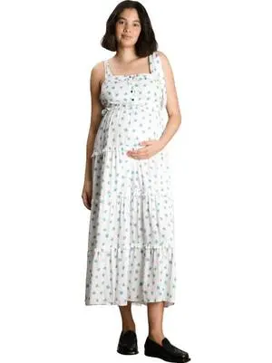 NOM MATERNITY Mara Maternity & Nursing Maxi Dress - Blue Floral