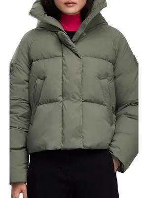 Canada Goose Chilliwack 750 Fill Power Down Puffer Jacket - Sagebrush