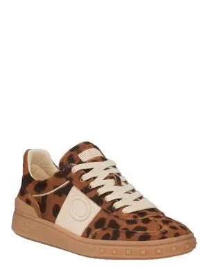 Valentino Garavani Calf Hair Low Top Sneakers - Miele Moro/ambra Calf Hair