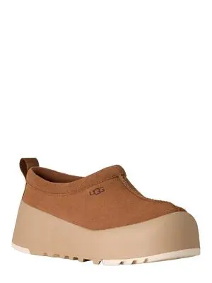 UGG Tasman Streetscape Slipper Chestnut /mustard Seed