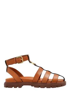 Coach Sculpt High-heeled Sandals - Brown