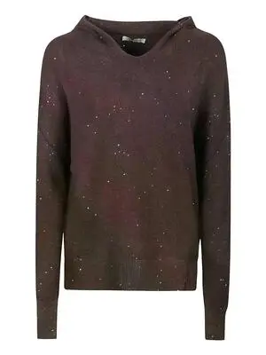 HINNOMINATE Sequin-embellished Hooded Sweater - Brown