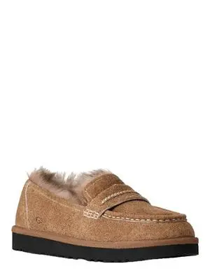 UGG Ellis Wool Loafer - Chestnut