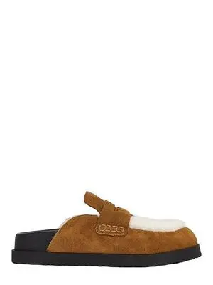 Steve Madden Tomlin Clog - Chestnut Suede