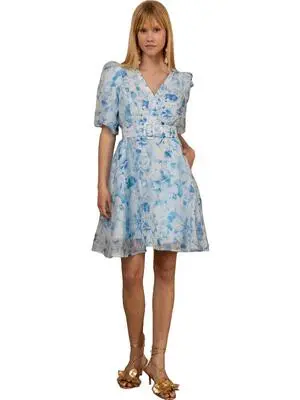 Hale Bob Ensley Organza Mini Dress - Blue