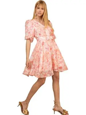 Hale Bob Ensley Organza Mini Dress - Pink