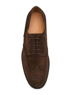 TOD & APOS;S Suede Wingtip Brogue Derby Shoes - Dkbrwn