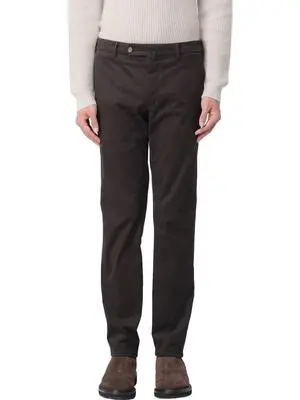 Incotex Incotex Trousers Brown