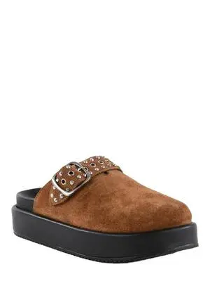 Seychelles Acclaim Clog - Brown