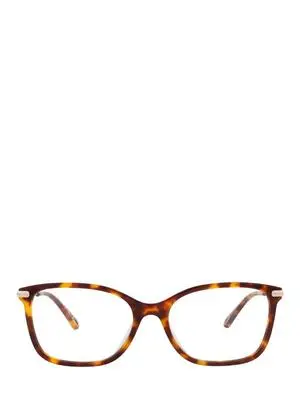Chloé Square Bio Acetate Optical Frames Havana Gold Transparent (ch0059oa/30011515/001)