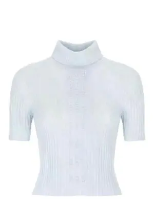 VANISÈ Ribbed Knit Turtleneck Top - Blue