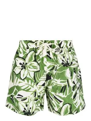 Palm Angels All Over Banana Leaf Shorts - Green