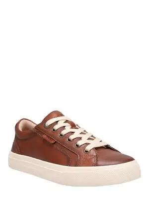 TAOS Plim Soul Luxe Leather Sneakers - Cognac