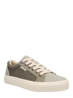 TAOS Plim Soul Sneaker - Sage/olive Multi