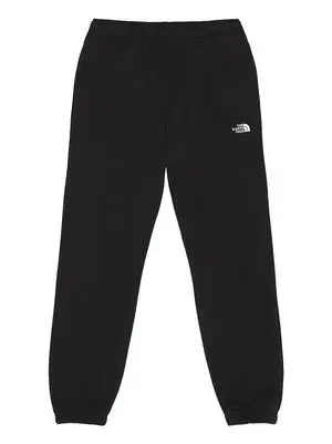 THE NORTH FACE The North Face Evolution Simple Dome Pant In Black