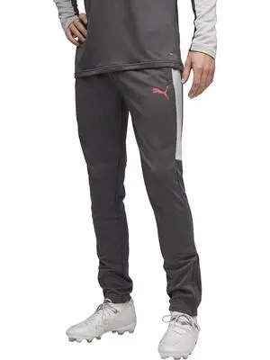 PUMA Individualliga Training Pants - Gray