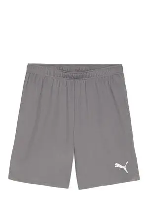 PUMA Teamgoal Soccer Shorts - Gray