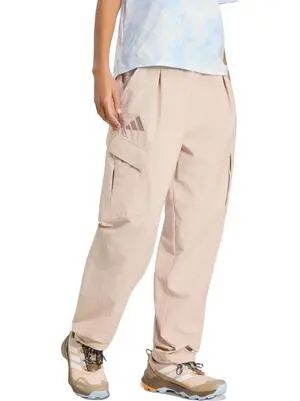 Adidas Terrex Xploric Clima365 Cargo Pants - Wonder Taupe