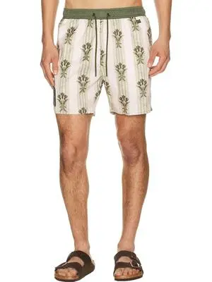 Agua Bendita Joe Swim Trunks - Off White