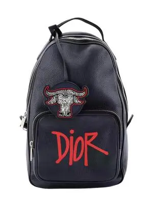 Dior Shawn Stussy Crossbody Printed Leather Backpack - Blue