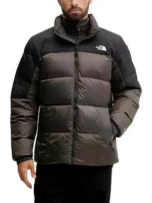 The North Face Performance Jacket - Brown