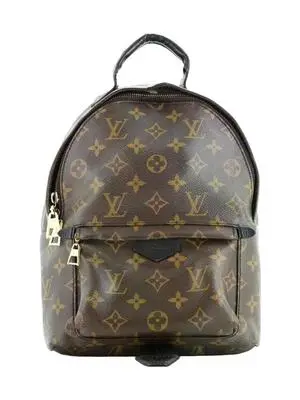 LOUIS VUITTON Palm Springs Monogram Canvas Pm Backpack - Brown