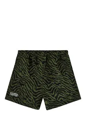 PLEASURES Breaker Fuzzy Stripe Shorts - Green