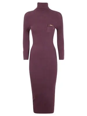 Elisabetta Franchi Turtleneck Ribbed Dress - Pink
