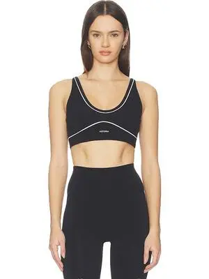 ASTORIA Sports Bra In Black - Black & Cream