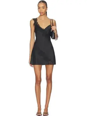 TULAROSA Tularosa Aliyah Mini Dress With Lace Accents