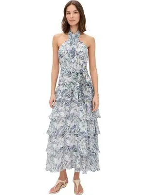 Astr The Label Adamaris Floral Maxi Dress - Blue Floral