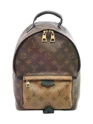 LOUIS VUITTON 2019 Monogram Palm Springs Pm Backpack - Brown
