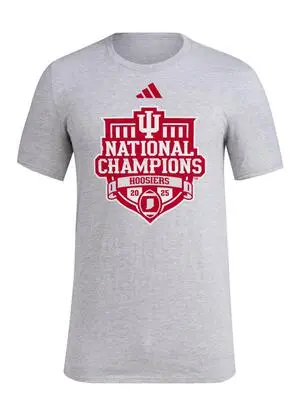 Adidas Indiana Hoosiers Short Sleeve Pregame T-shirt - Medium Grey Heather / Multi