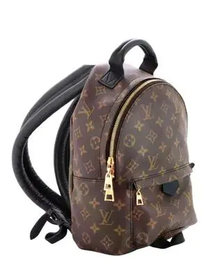 LOUIS VUITTON Palm Springs Monogram Canvas Pm Backpack - Brown