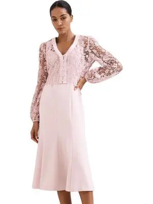 PHASE EIGHT Fit & Flare Lace Midi Dress - Pale Pink