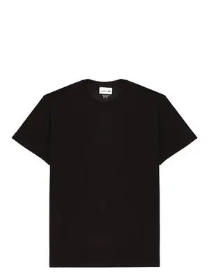 Lacoste T-shirt With Logo - Brown