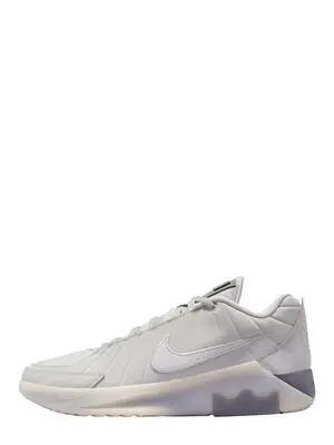 Nike Lebron Witness Basketball Shoes - Grey