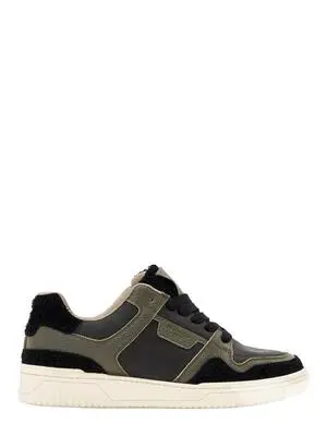 ALLSAINTS Regan Plus Low Top Sneakers - Black/sage Green