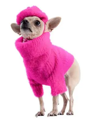 MOSHIQA Dog Sweater And Beret - Pink